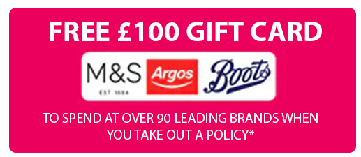 Promis Over 50's Life Insurance